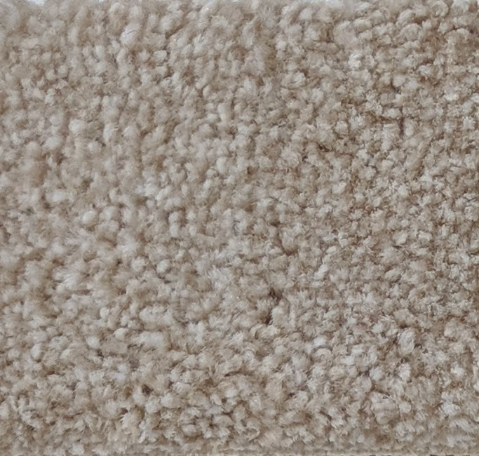 Clearance Archives - Carpet Monster