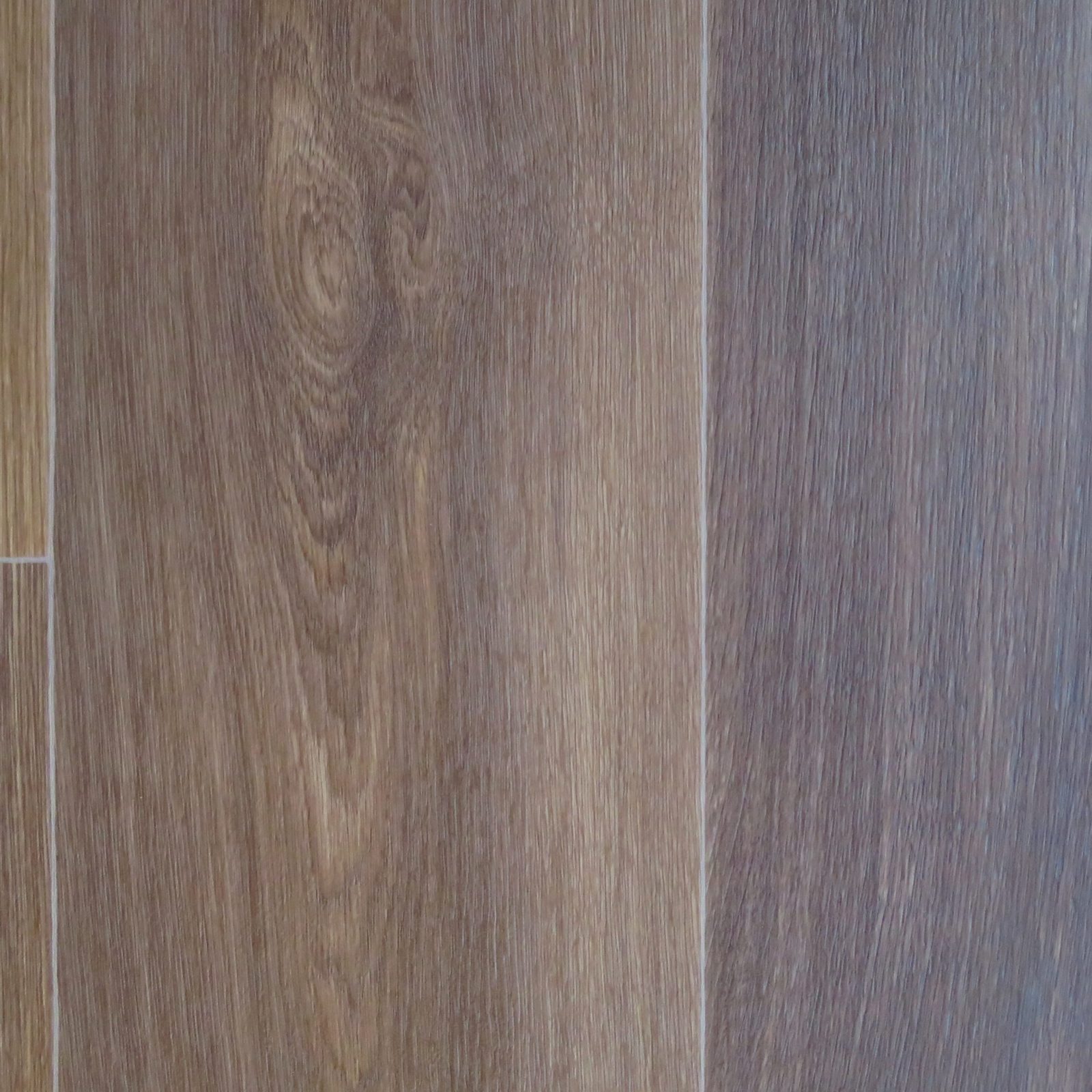 Amplus by Octavian Collection - Carpet Monster