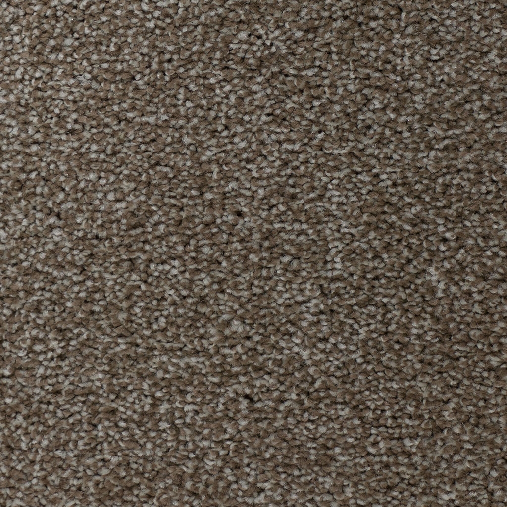 Carpets Archives - Page 4 of 42 - Carpet Monster