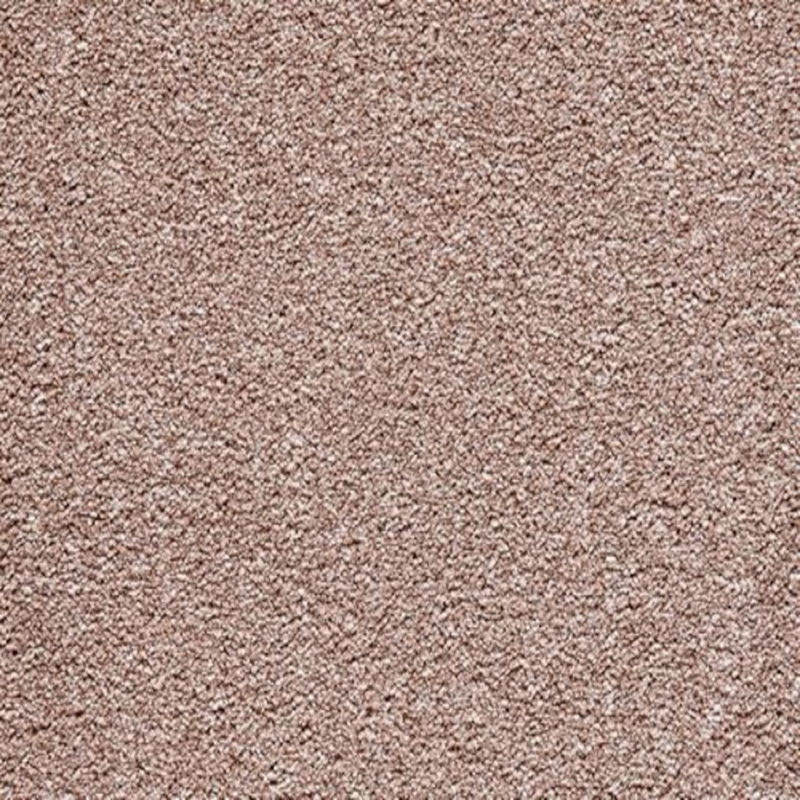 Carpet Monster - Give your feet a treat