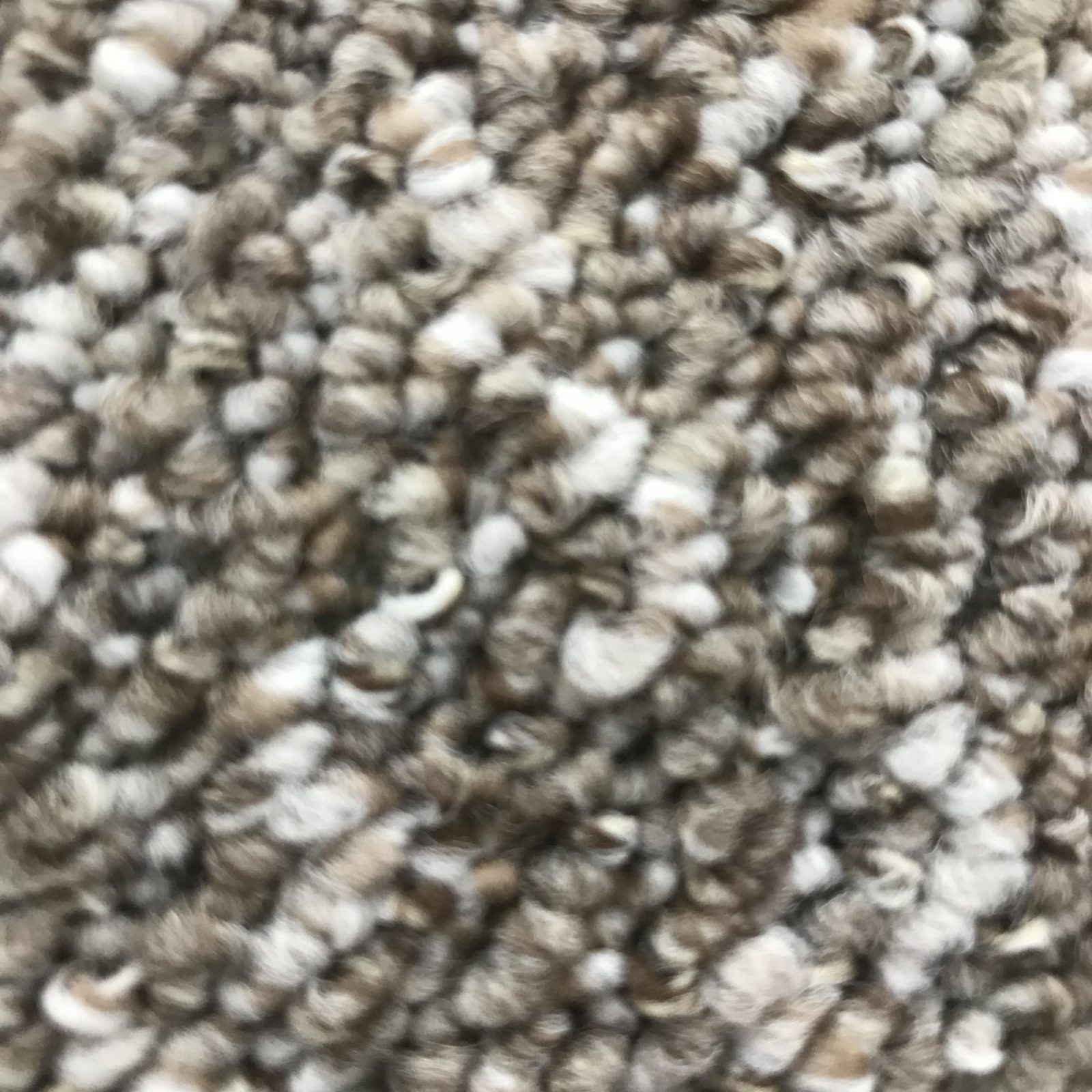 Carpet Monster - Give your feet a treat