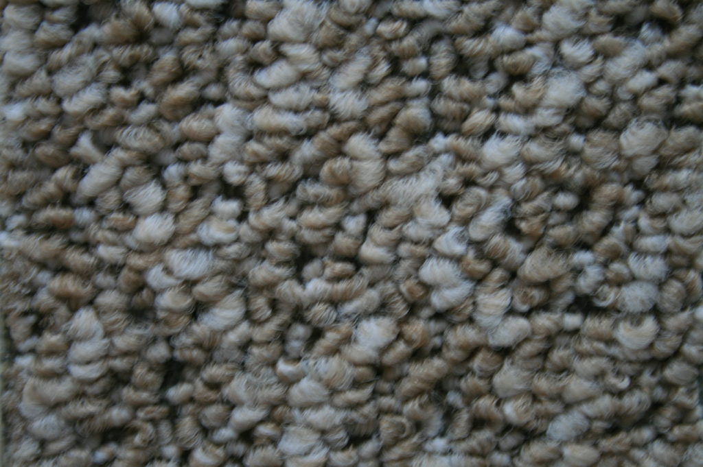 Bonanza By Timzo - Carpet Monster