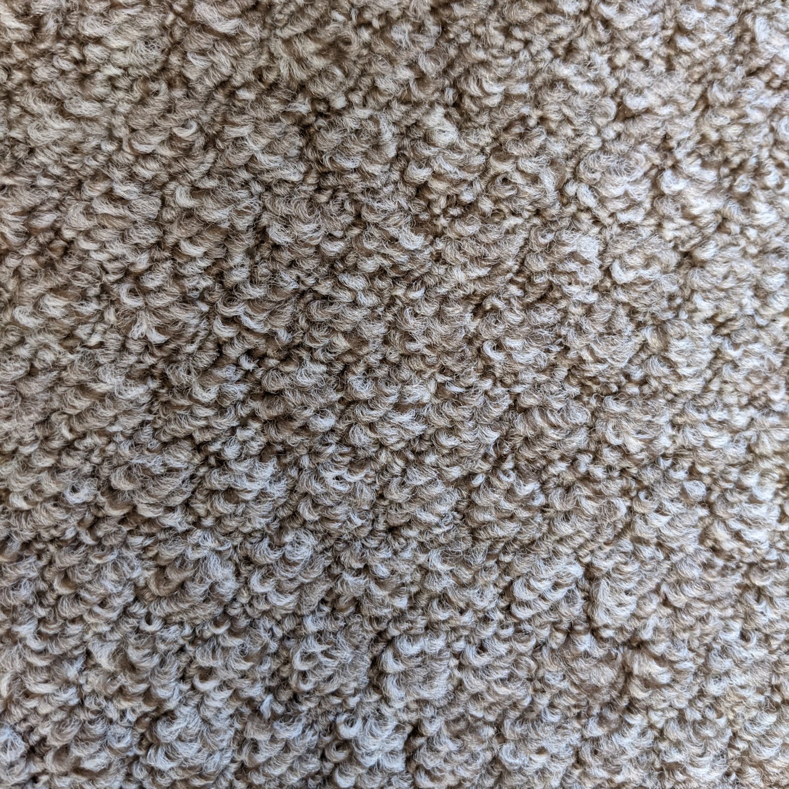 Carpets Archives - Carpet Monster