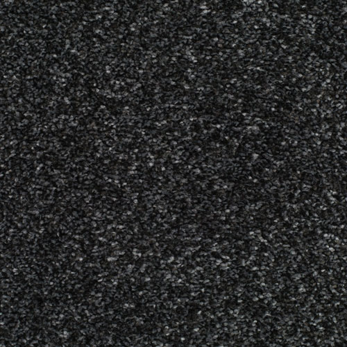 Carpet Monster - Give your feet a treat