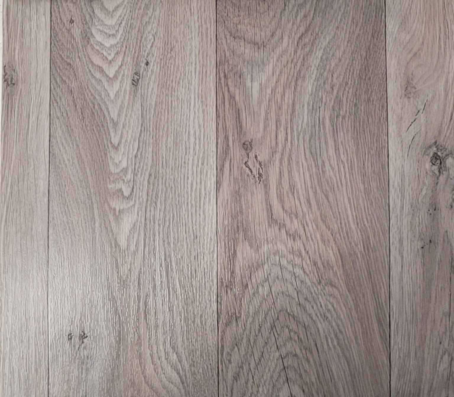 Novus Vinyl By Octavian - Carpet Monster