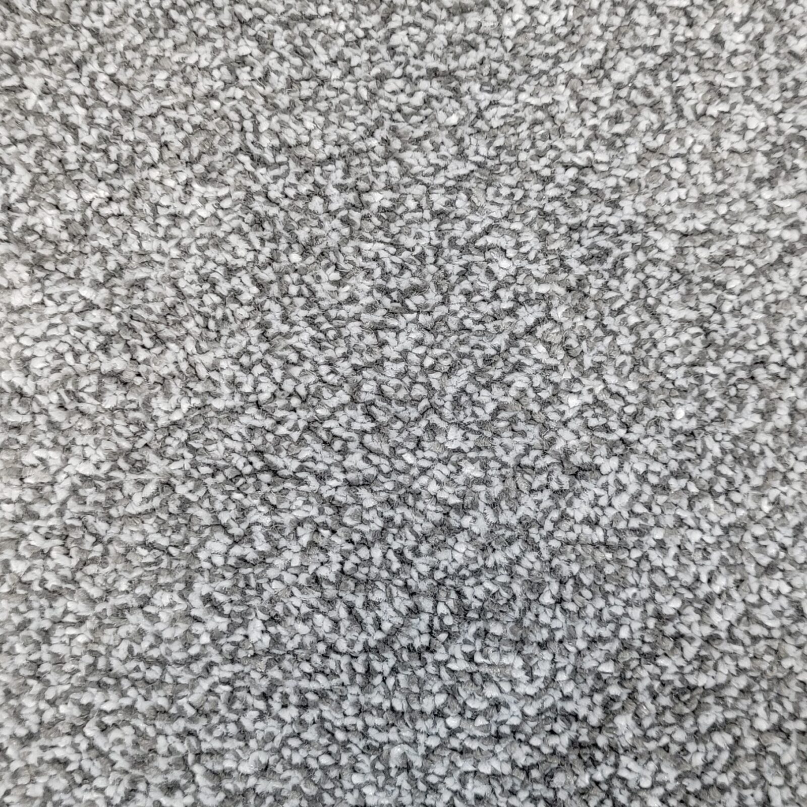 Carpets Archives - Page 8 of 26 - Carpet Monster