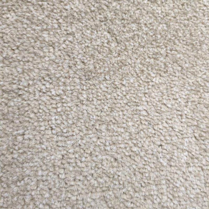 Carpets Archives - Carpet Monster