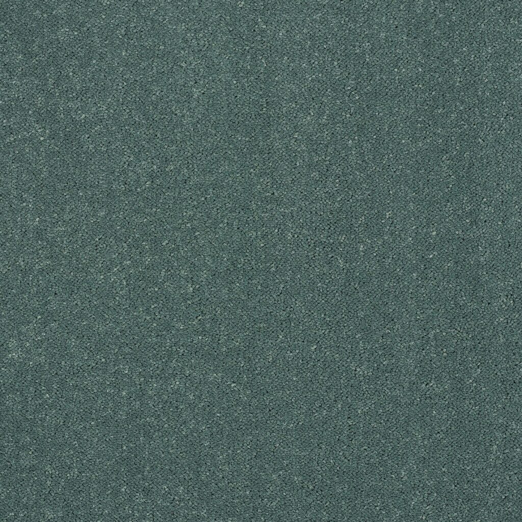 Captivation by Abingdon Flooring - Carpet Monster