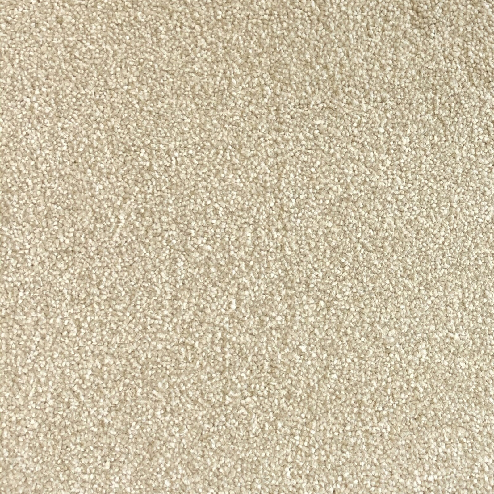 Midas Elegant Living by Carpet Line Direct - Carpet Monster