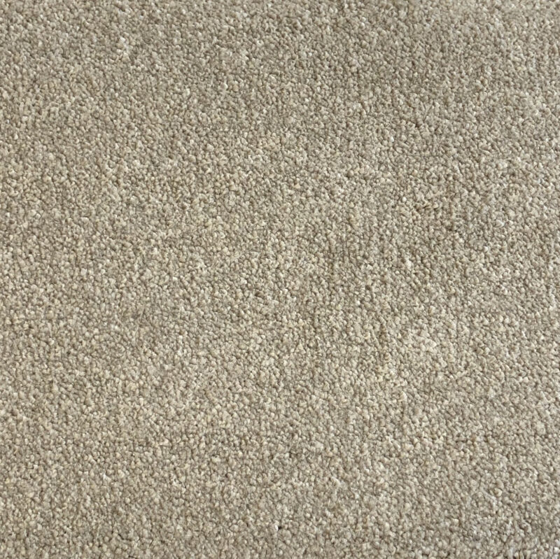 Midas Elegant Living by Carpet Line Direct - Carpet Monster