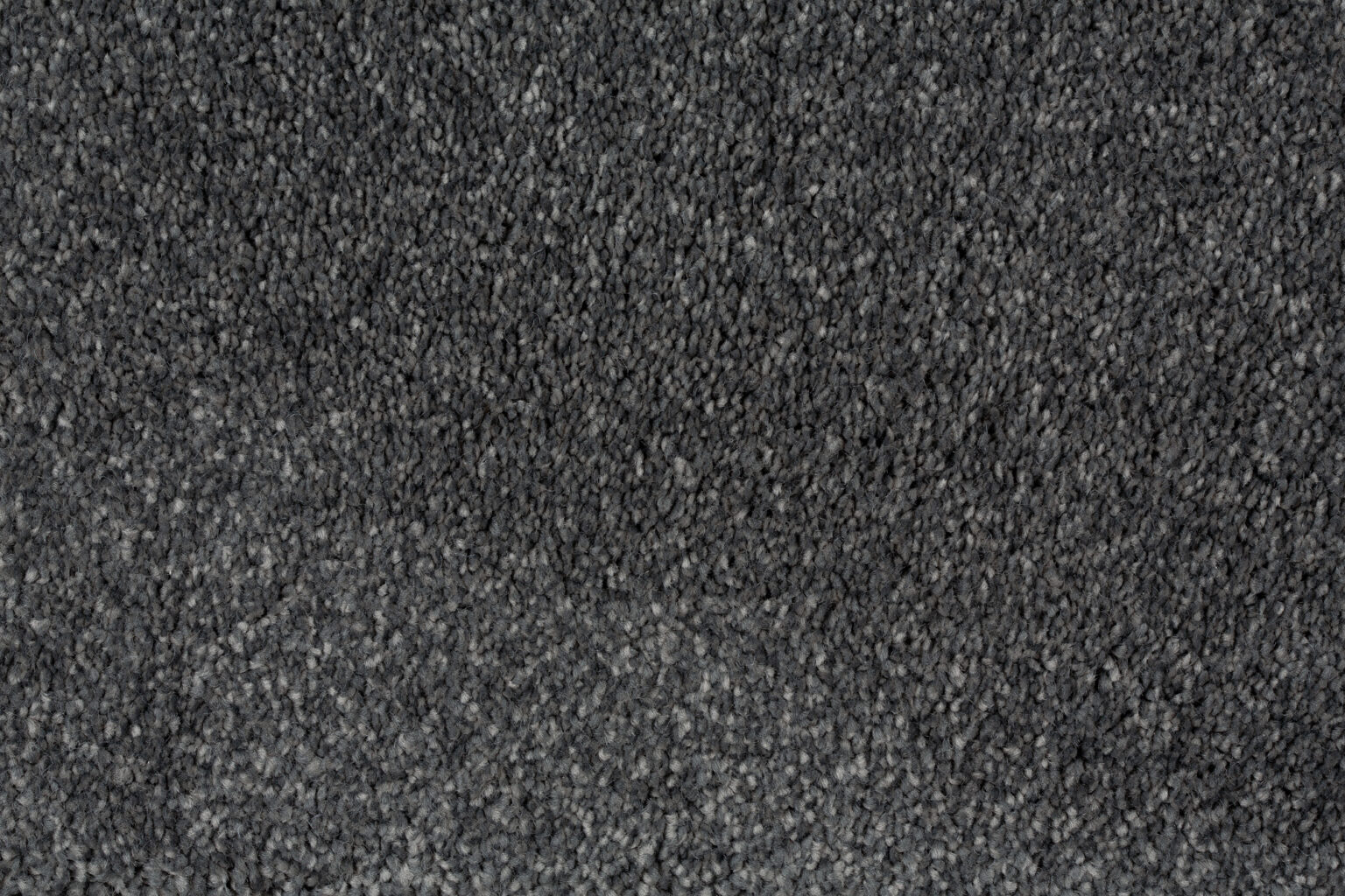 Midas Platinum by Carpet Line Direct - Carpet Monster