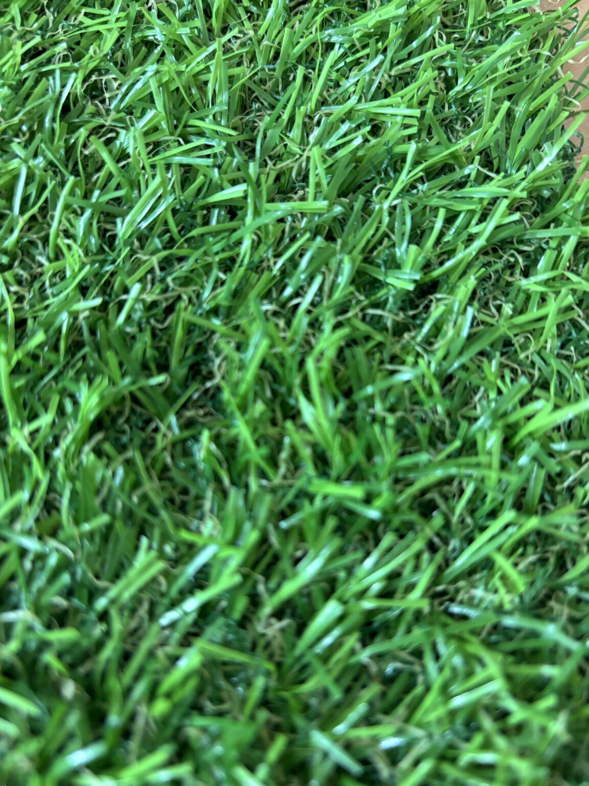 Hampton 28mm Artificial Grass by Carpet Monster - Carpet Monster