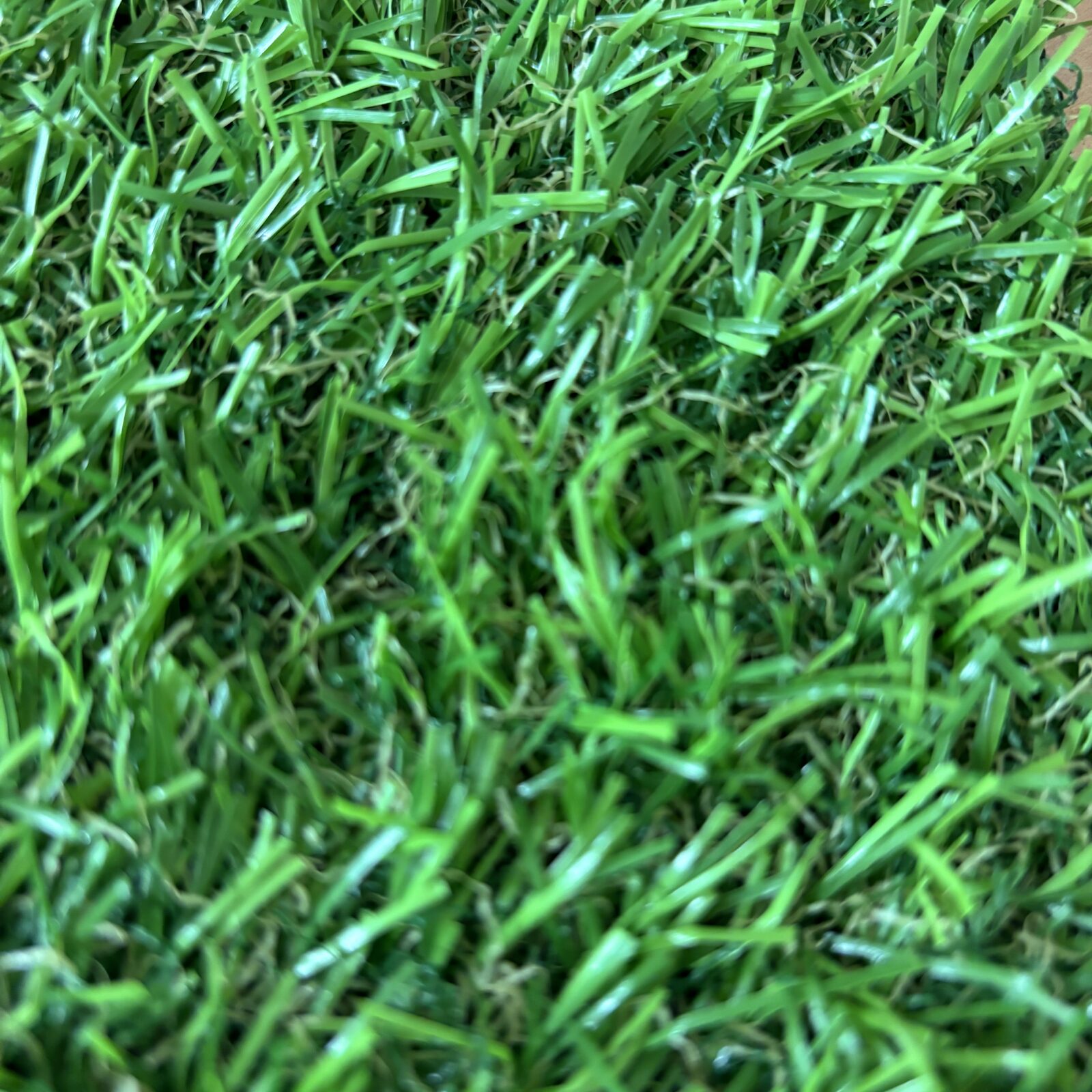 Artificial Grass Archives - Carpet Monster